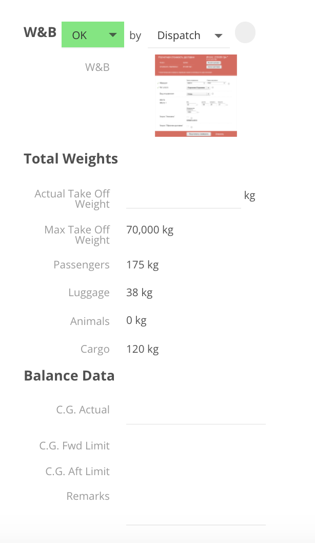Flight Strip Item: Flight Plan and Weight & Balance