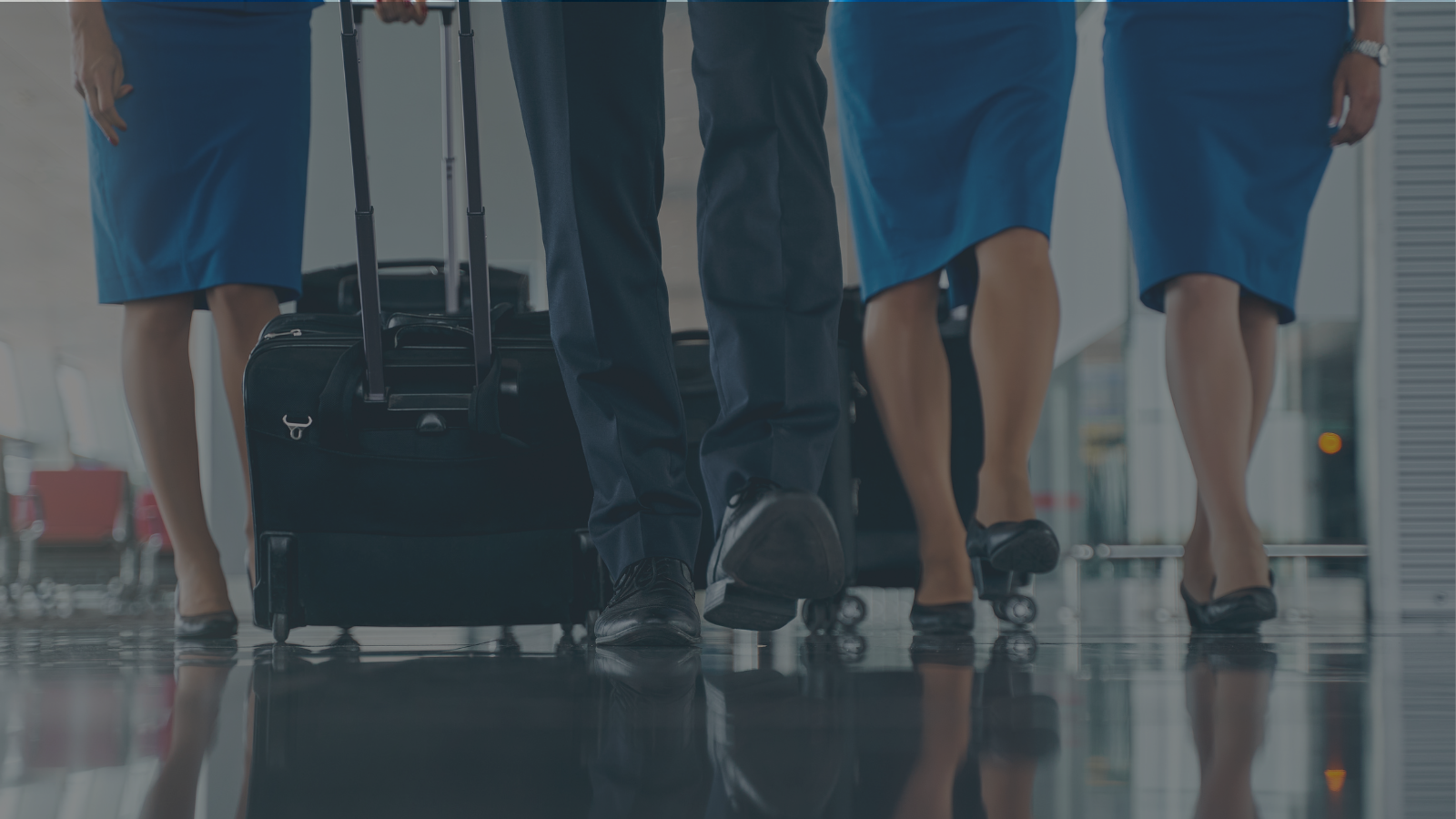 Aviation Crew Management Software - Smarter Rostering for Safer Flights